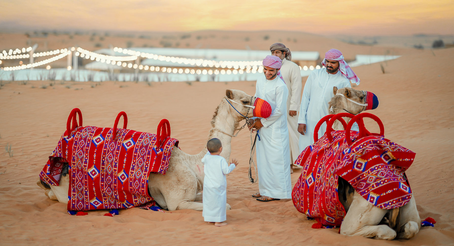 The Real Desert Experience – Dubai Desert Conservation Reserve - 57 ...